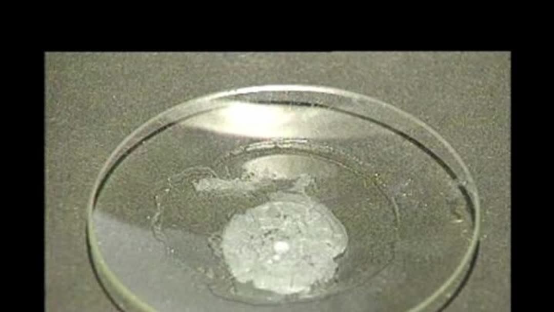 新课改 初中化学演示实验 氢氧化钠的物理性质和潮解 友联