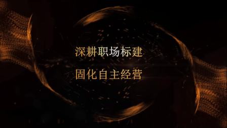 国寿深分罗湖支公司年度表彰大会宣传视频