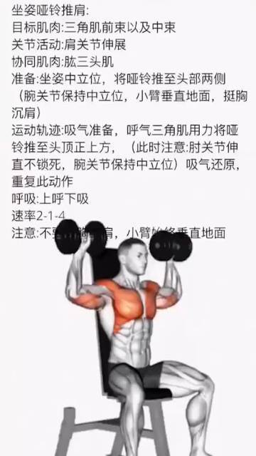 哑铃推肩,可以锻炼三角肌