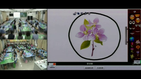 岭南社版_美术_四年级_上册第三单元 厨房交响曲5. 漂亮的挂盘-蔡敏如