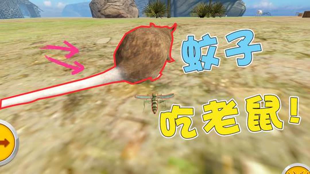 蚊子模拟器:遥控绿蚊子 干趴一只老鼠!