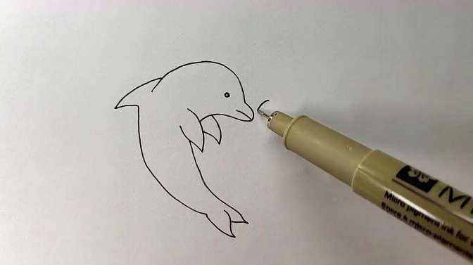 两只海豚简笔画:超简单一学就会,萌萌可爱的小海豚!