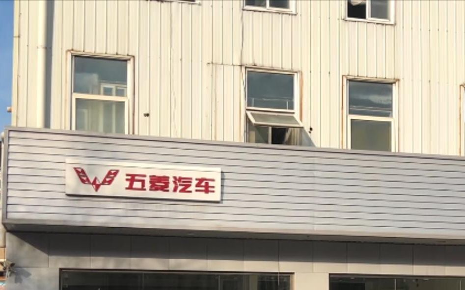 五菱宏光MINI EV探店,这车如此赚钱!