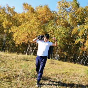 塞罕坝郭哥 
