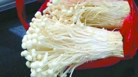 放在冰箱中的金针菇竟会逆生长,自个还变大了?