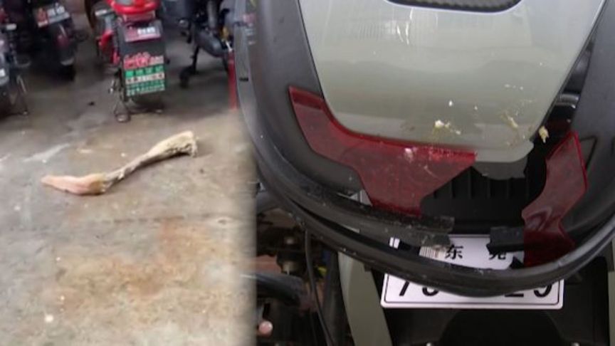 5斤重带骨腊肉从天而降,电动车车厢被砸碎