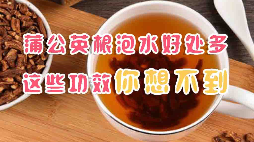 蒲公英根泡水功效多,不仅清热解毒还可杀菌,值得收藏