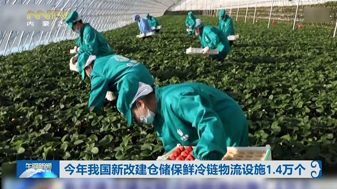 今年我国新改建仓储保鲜冷链物流设施1.4万个
