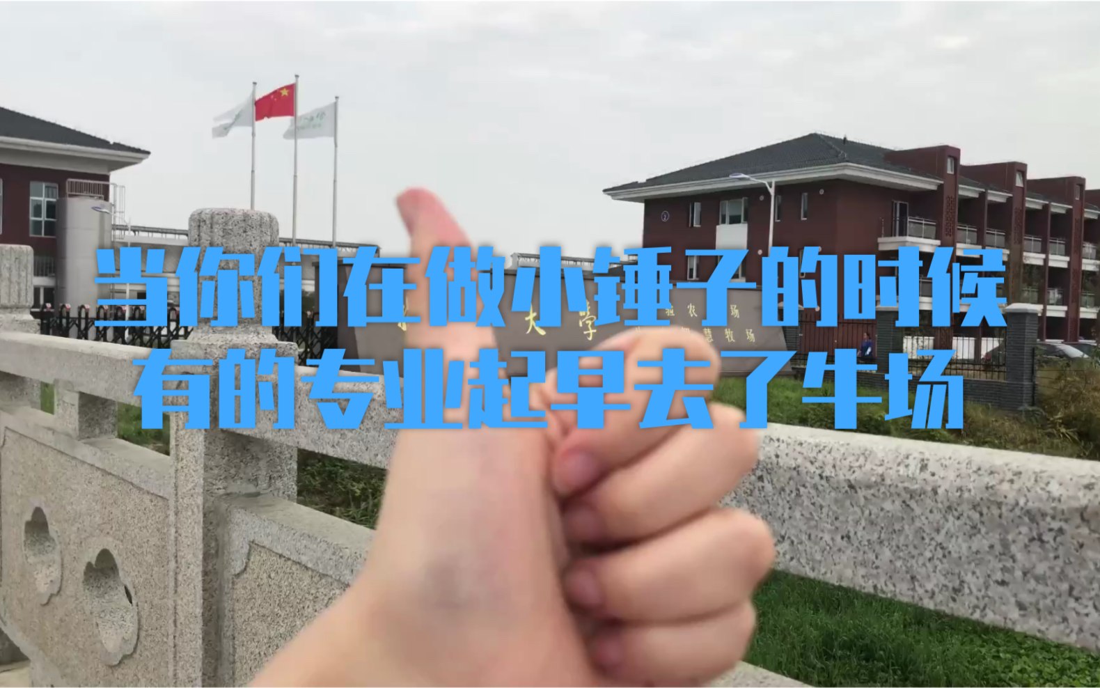 动物医学的我们在干啥vlog牛场with me