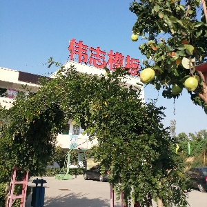 河南伟志钢模板厂家 