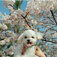 小鱼侃世界 