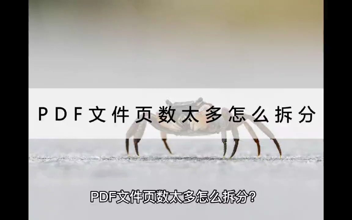 PDF文件页数太多怎么拆分?这个方法安心用