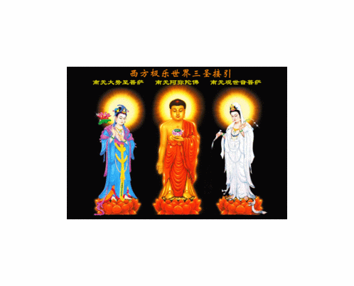 光明慈航 