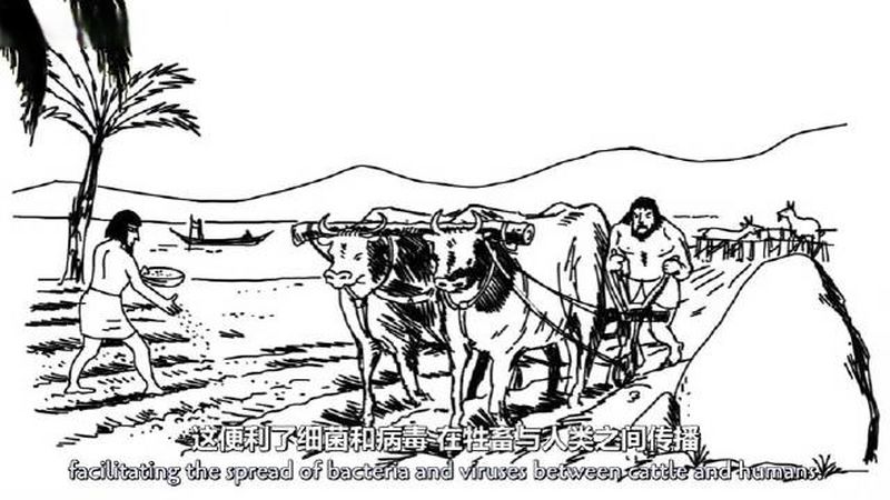 【传染病是如何扩散至世界各地的?】动画小短片讲述——病毒是如何...