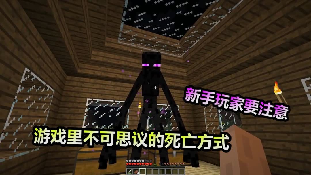 MC我的世界:游戏里那些不可思议的死亡方式,新手玩家需要注意