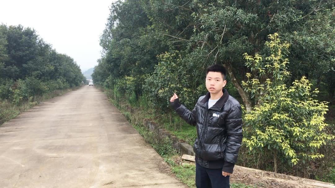 农村老板承包了200亩土地,种植了1200棵杨梅树,一棵售价6000元