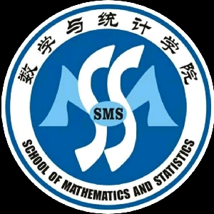 数统mei小视 