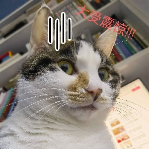 白天不要打瞌睡 