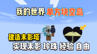 我的世界酷凡单方块冒险生存 第23集 我的世界单方块空岛:制作末地末...