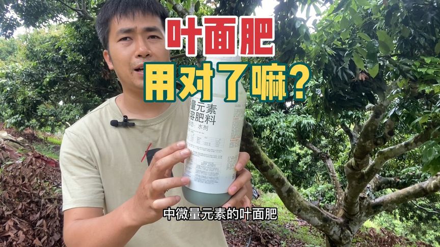 果树叶面肥你用对了吗 不同作用及使用方法果农一次说清 简单明了
