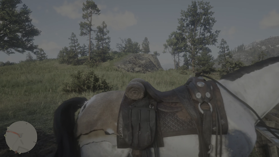 荒野大镖客2最好画质p22