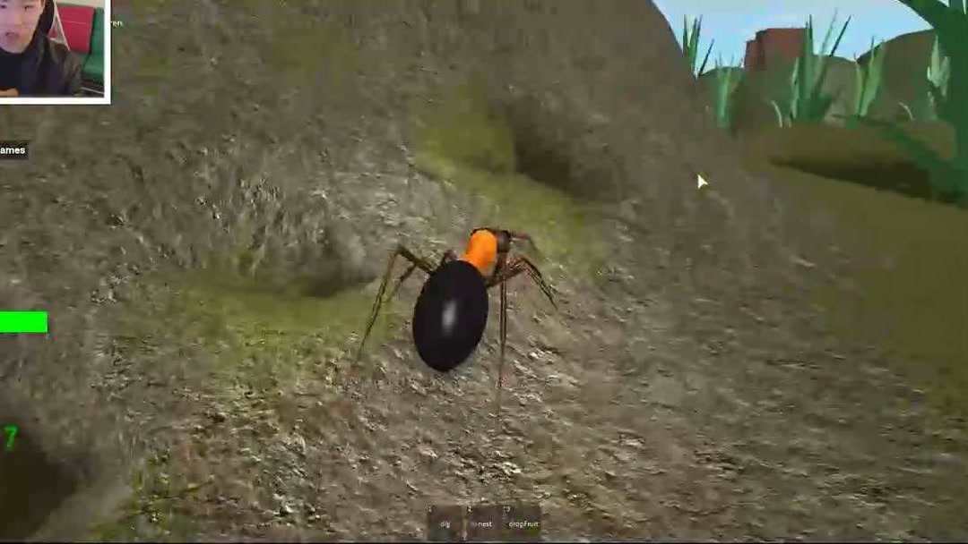 小飞象解说 Roblox蚂蚁模拟器 搞笑模拟小蚂蚁！