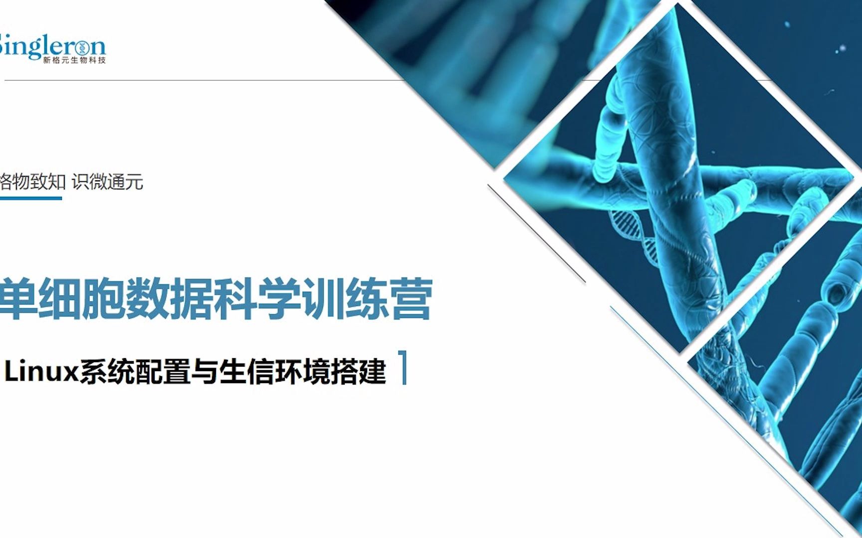 Linux系统配置与生信环境搭建