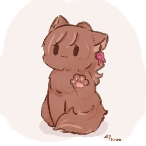 那一定是我超火流星 