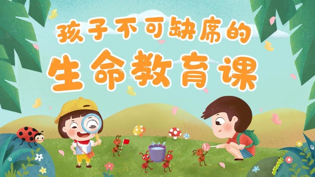 生命教育-先导片