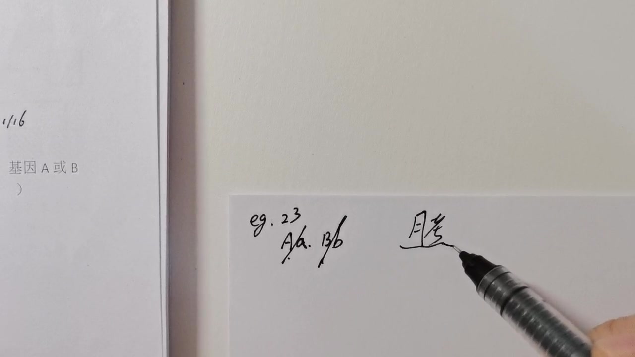 高中生物一轮复习必修二 1.58伴性遗传第十一节