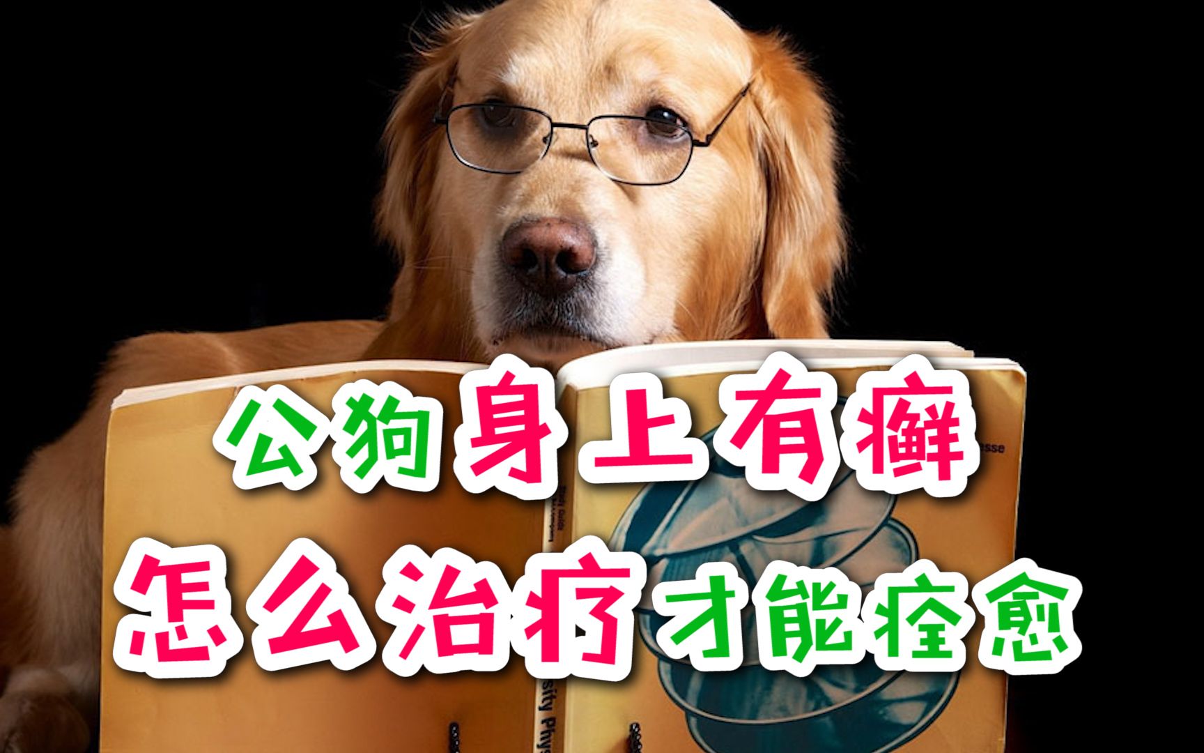 狗狗身上有癣怎么治疗才能痊愈