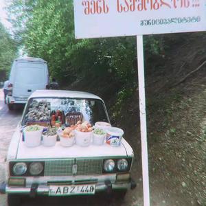 团圆宝贝 