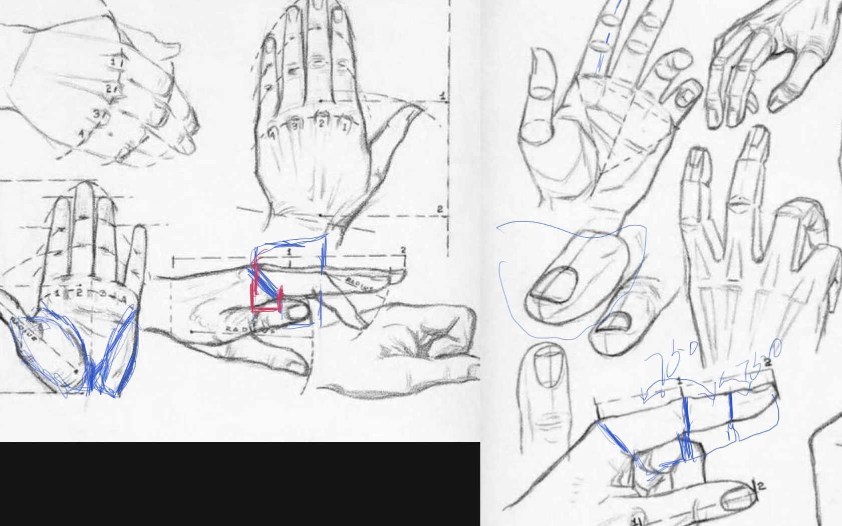 maya免费高级角色教程07(艺术人体解刨讲解04)