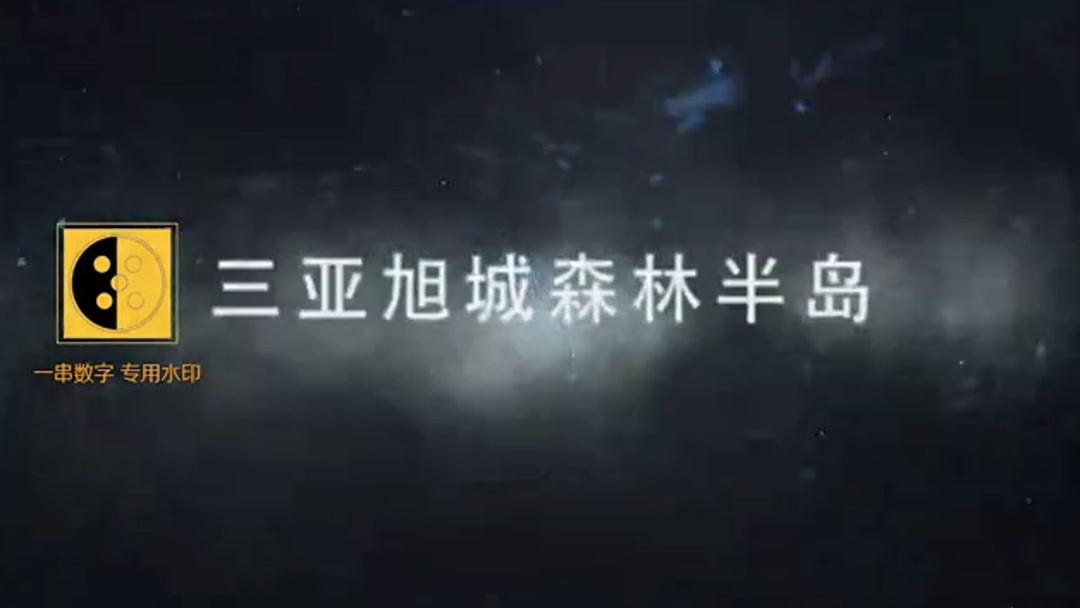 海南三亚森林半岛项目简介