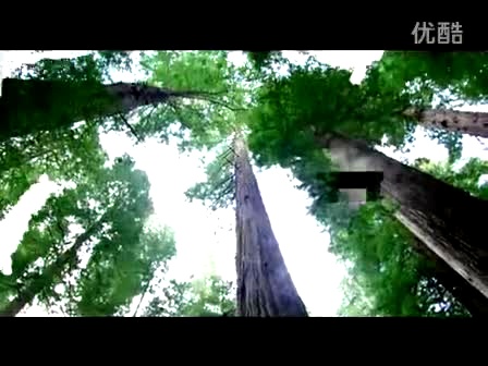国际朗诺环保木门木门代理木门加盟木门招商央视广告