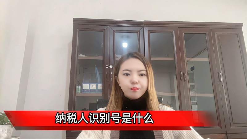纳税人识别号是什么
