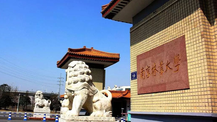 南京林业大学 宣传片