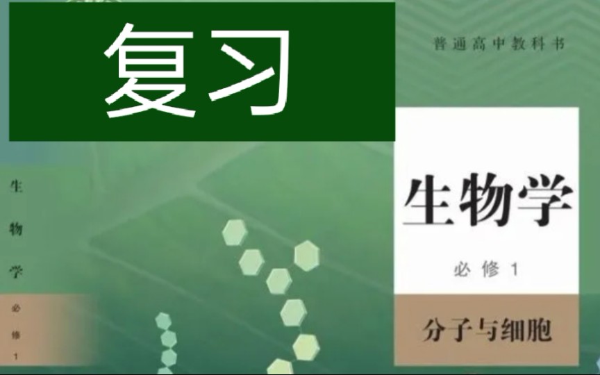 高中生物必修一 复习(5)