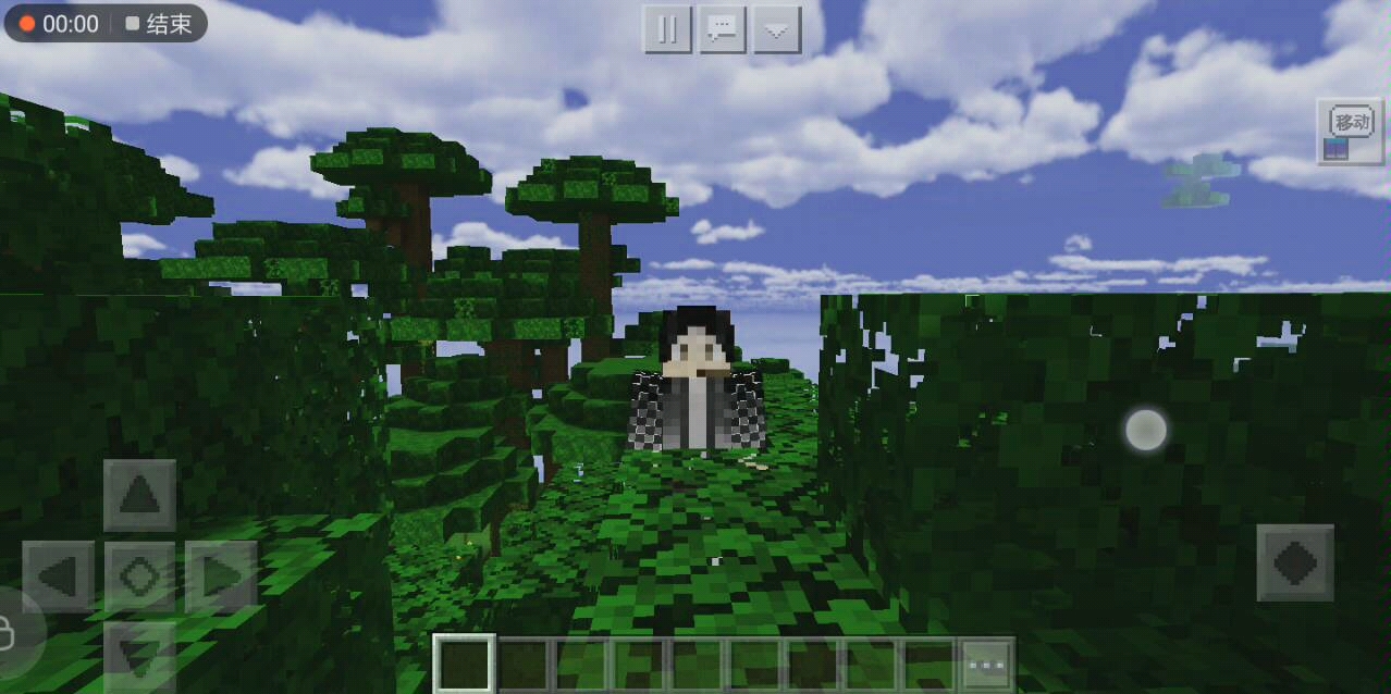 Minecraft我的世界随机tp?up主崩溃了!