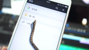 微信界面跑出一条蛇,女生不敢动手机,怎么搞出来的?