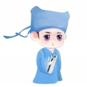 小小辛去疾 