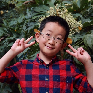 很孤独伤心的狼