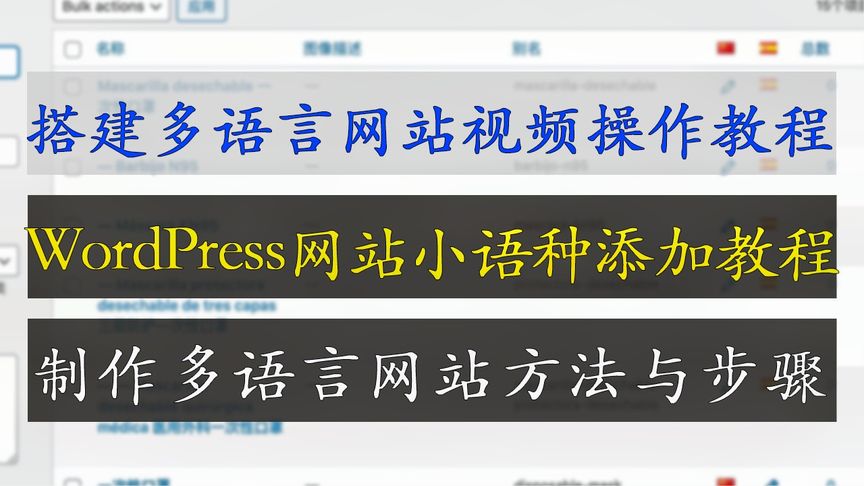 网站添加多语言教程-02 | WordPress多语言网站制作教程