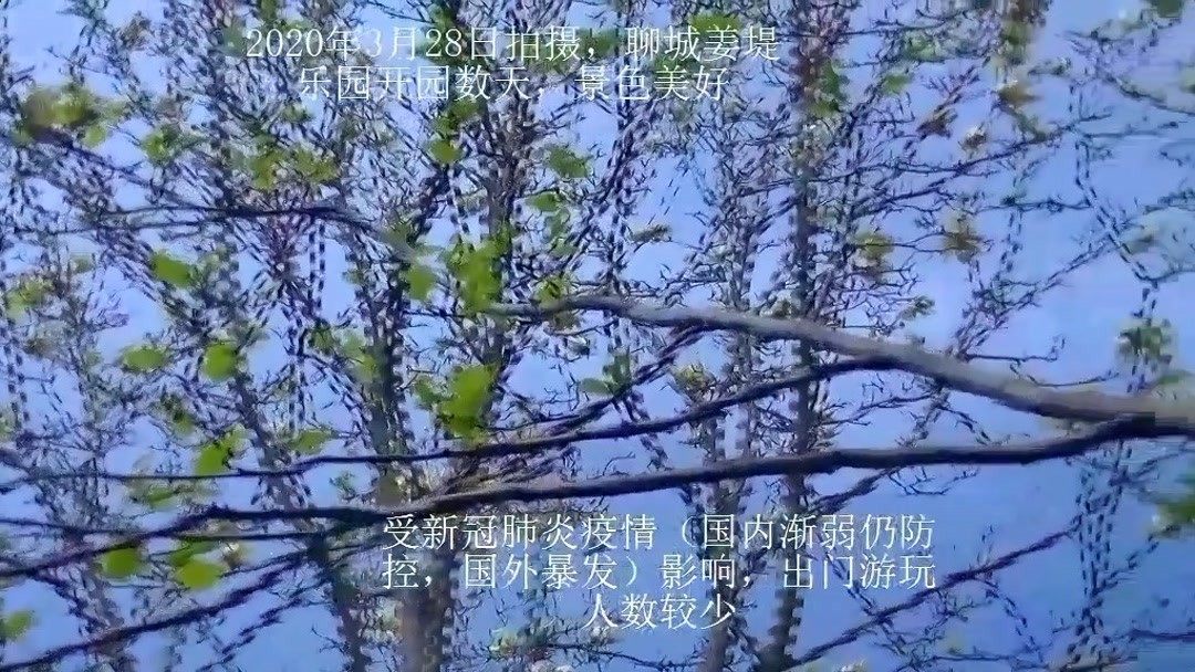 聊城姜堤乐园掠影「2020.3.28」