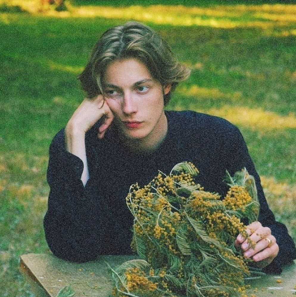 我如青山面迎风 