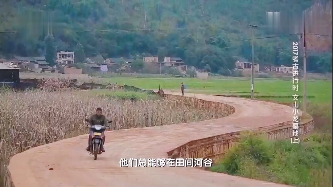 古墓初现端倪,墓地位置终于被确认,这简直是个大惊喜!