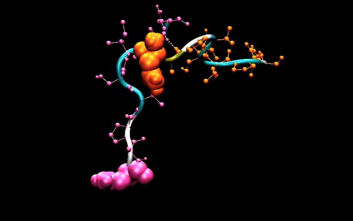【十分鬼畜】小分子肽链是如何组装到一起的?分子动力学模拟告诉你...