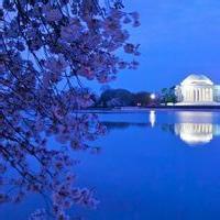 老刘有个迷彩梦 