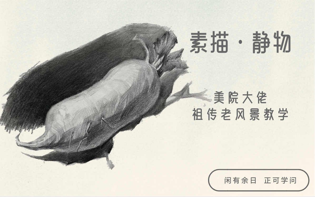 【素描新手联盟】萝卜,用铅笔去表现!