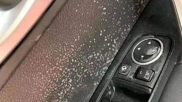 疫情期间汽车千万别用84消毒液和酒精消毒#84消毒液#抗击疫情